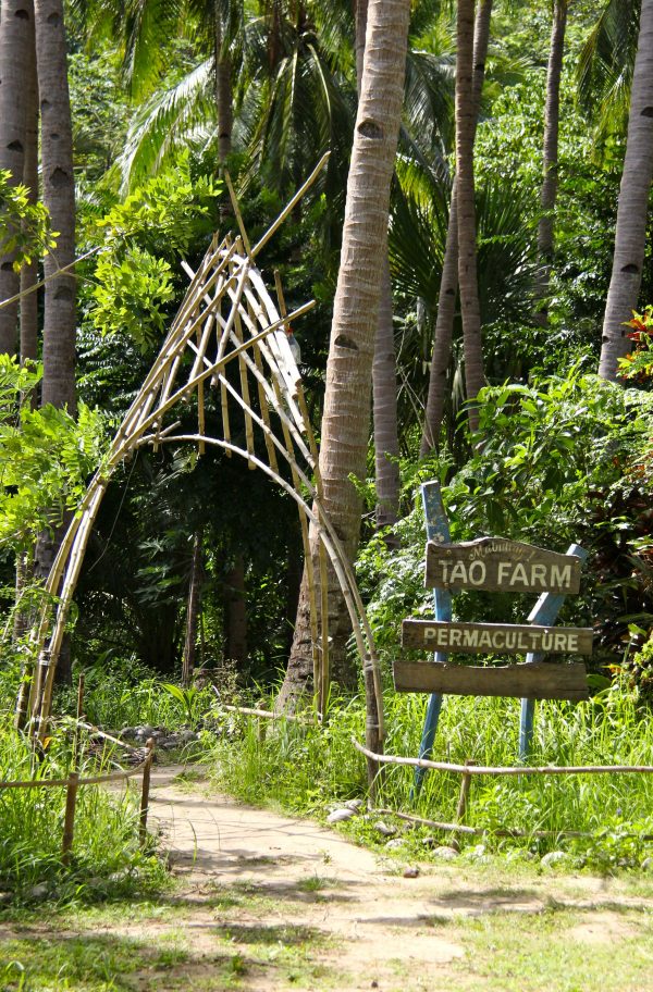 Tao farm in Palawan, the perfect example of sustainable cooking ...